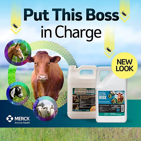 Ultra Boss Pour-On Livestock Insecticide