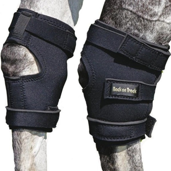 Back On Track Hock Boots